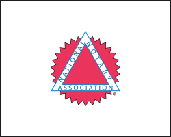 Consulting and Industry Partners — Snapdocs